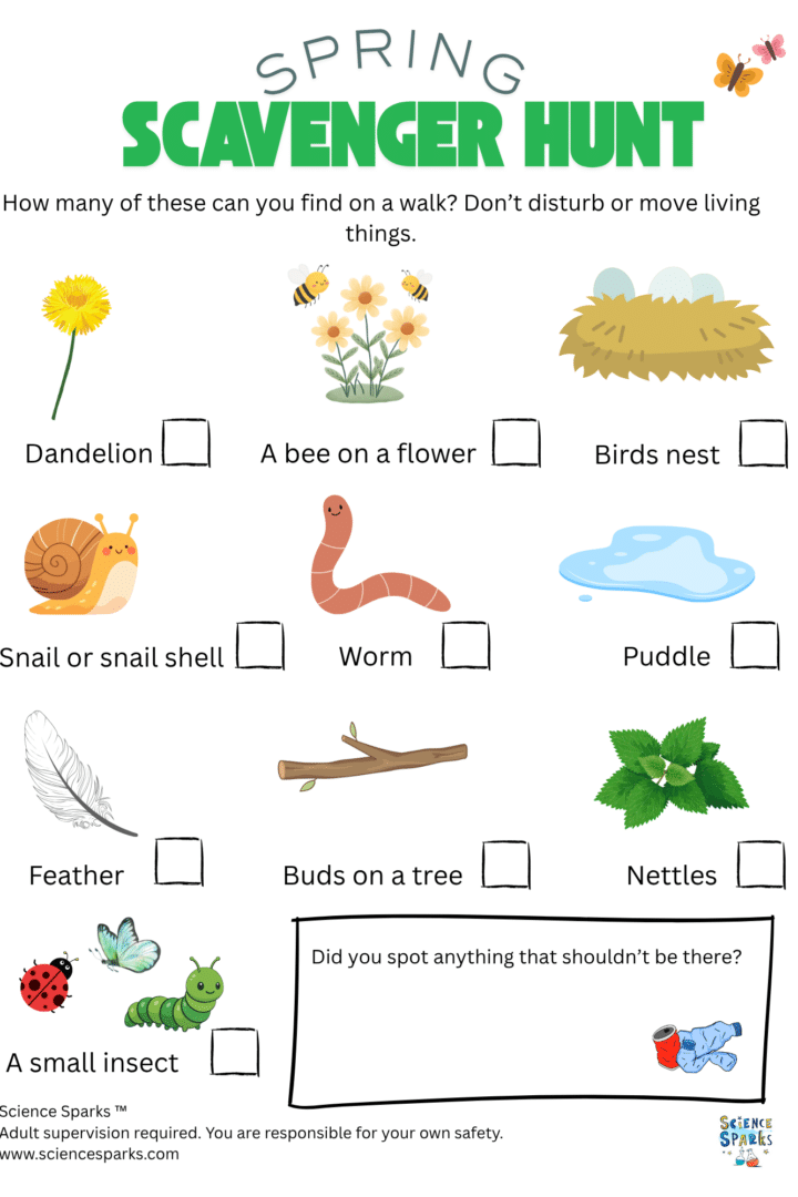 Minibeast Hunt Top Tips