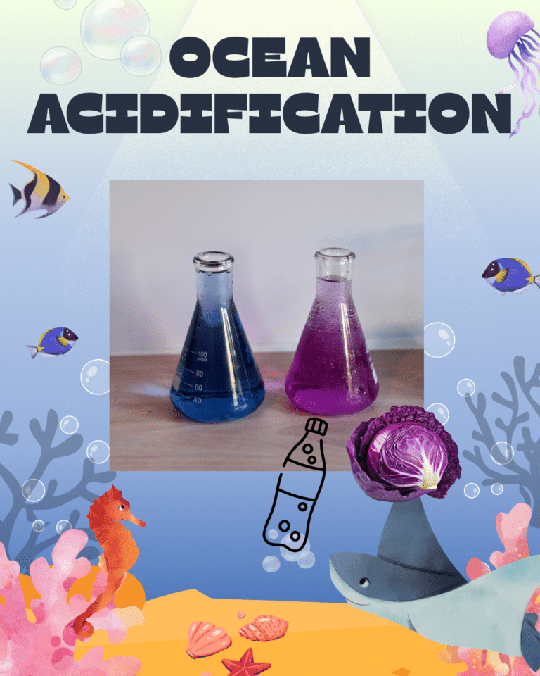 Easy Science Experiments for Kids at Home or in the Classroom